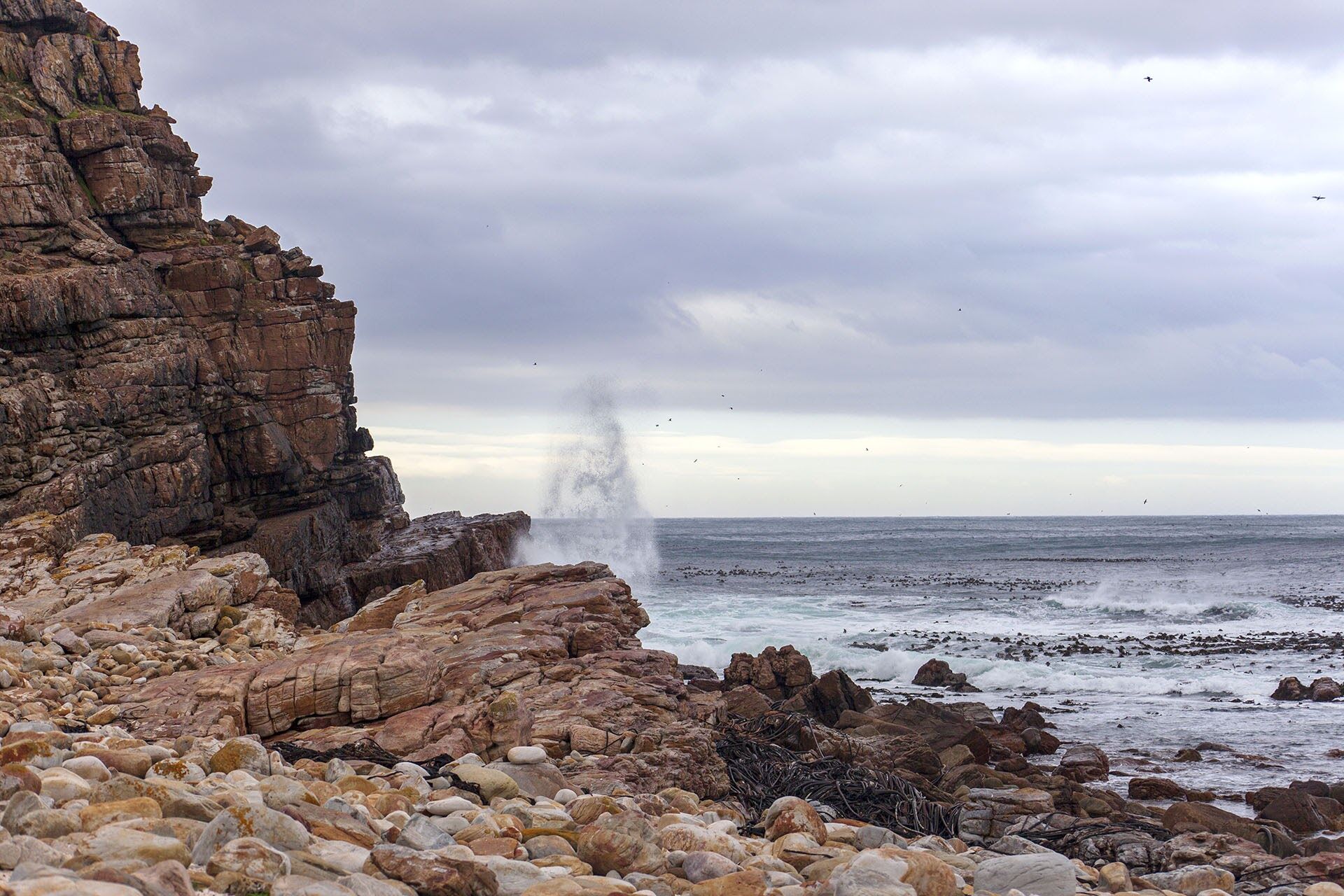 Driving the Must-See Southern South Africa Coastline - Travelationship