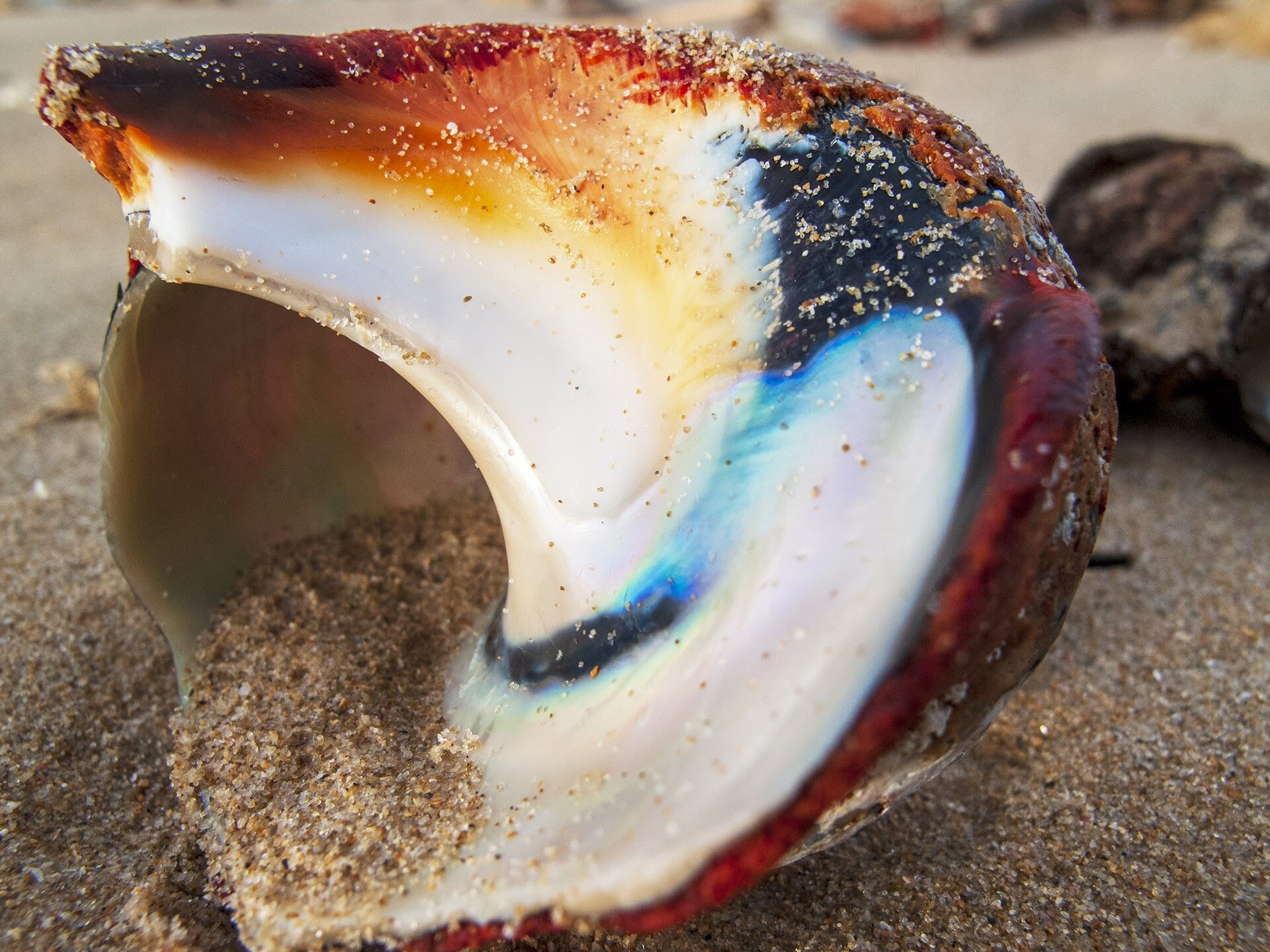 Driving the Must-See Southern South Africa Coastline - Travelationship